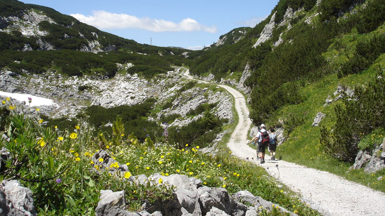 Top attraction Dachstein Krippenstein